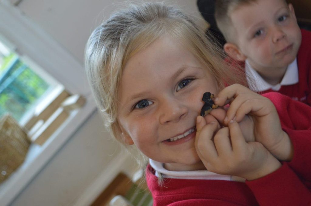 Home - The Grove Primary School